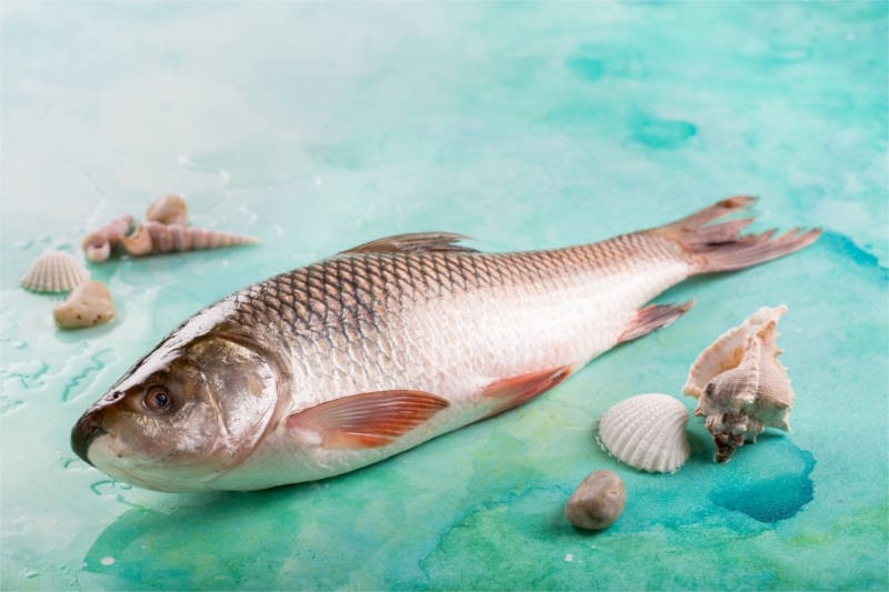 Rohu / Rui / ರೋಹು (Size/Grade 650g to 900g) : Buy online | freshtohome.com