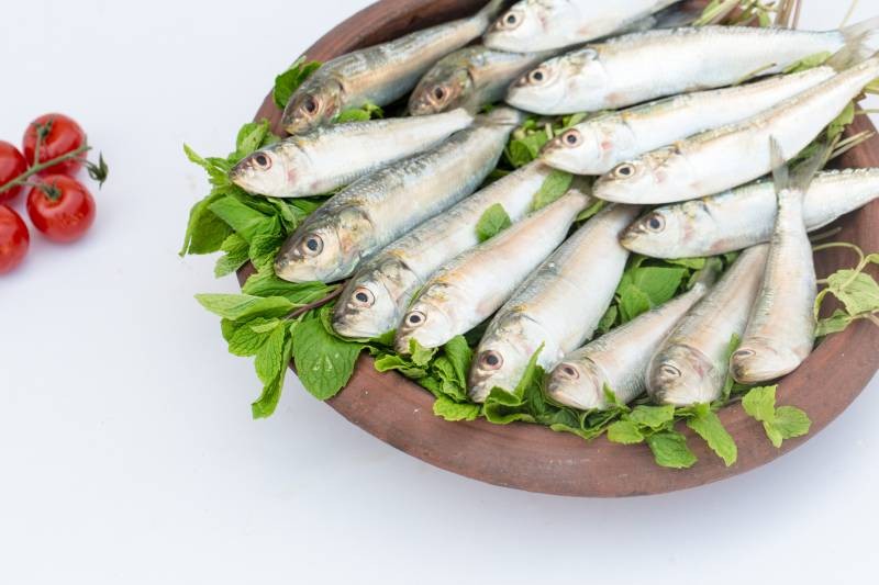 Premium Sardine / Mathi : Buy online | freshtohome.com
