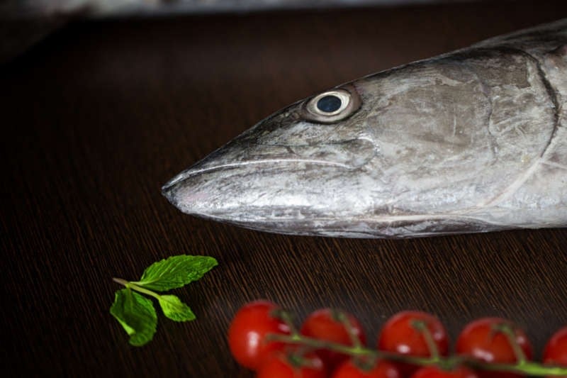 Seer Fish / Surmai / Neymeen - Head : Buy online | freshtohome.com