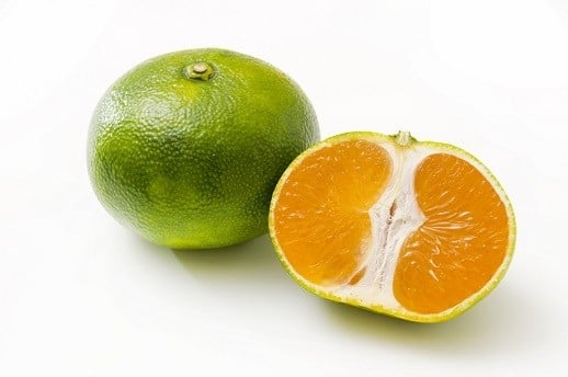 Orange (IN) : Buy online | freshtohome.com