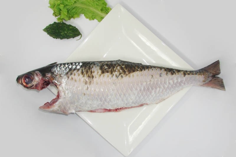 Freshwater Mullet / Kayal Kanni - Whole Cleaned : Buy online ...