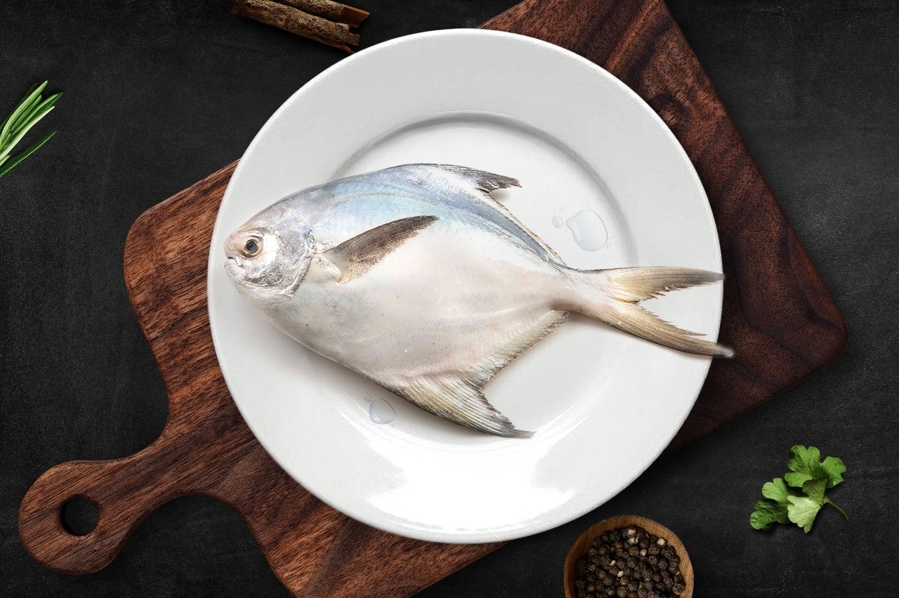 Chinese Pomfret/ Chinese Avoli Large : Buy online | freshtohome.com