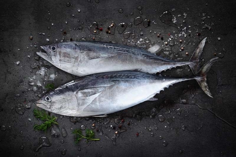 Tuna / Choora / ಗೆದರೆ (Small) : Buy online | freshtohome.com