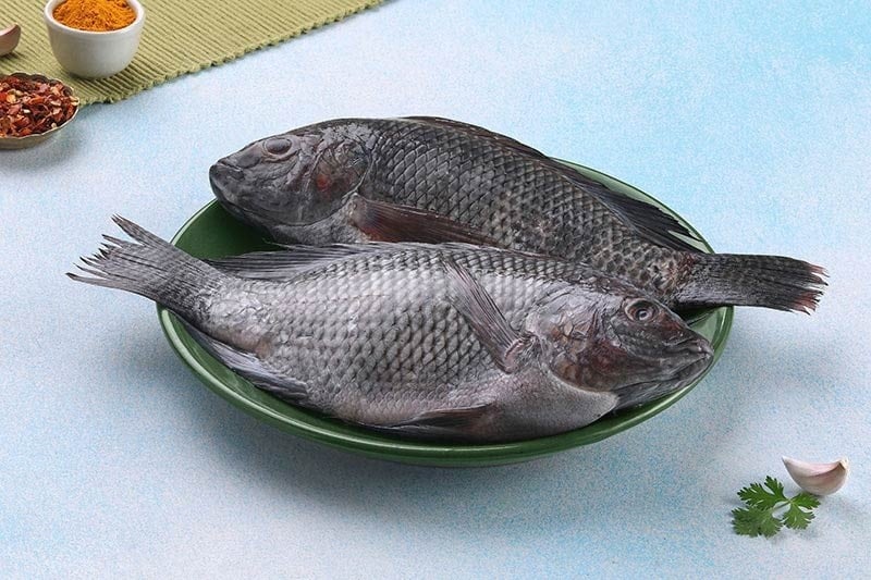 Tilapia / Jalebi Fish (Super Extra Large) - Whole : Buy online ...