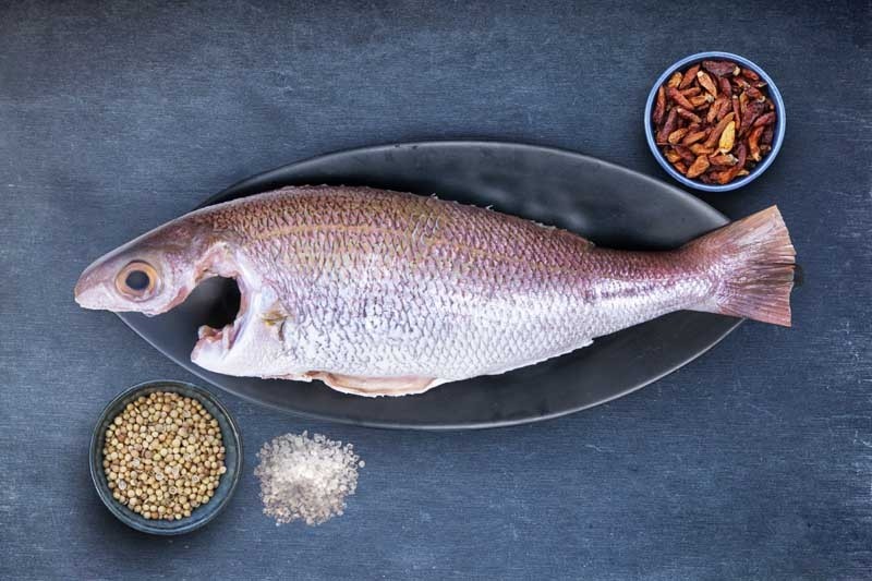 White Snapper / Vela Meen - Whole cleaned : Buy online | freshtohome.com