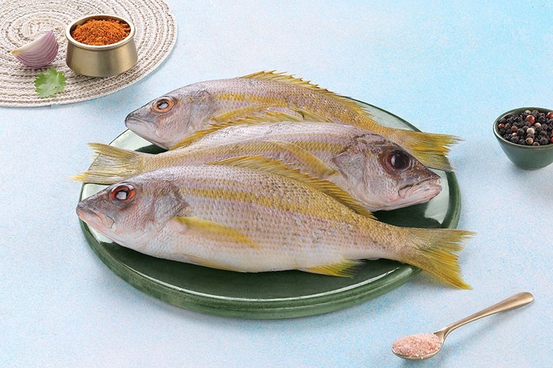 Yellow Snapper : Buy online | freshtohome.com