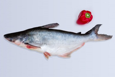 Fresh Indian Baasa / Pangasius : Buy online | freshtohome.com