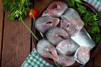 Garfish / Kola (Large) - Steaks : Buy online | freshtohome.com