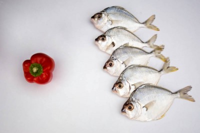 Pony Fish / Mullan (Large) - Whole : Buy online | freshtohome.com