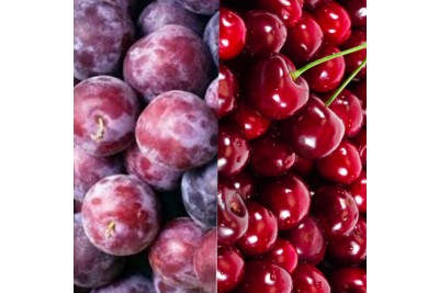 Cherry Plum Mix 500g : Buy online | freshtohome.com