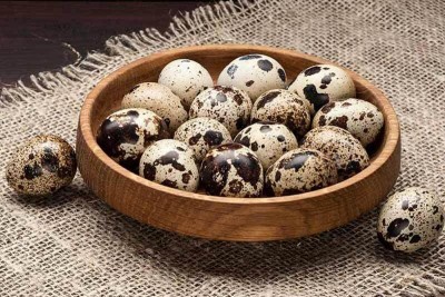 Premium Quail Eggs - Pack of 12 : Buy online | freshtohome.com