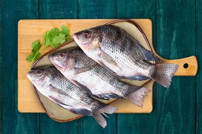 Tilapia / Jalebi Fish (Large) - Whole : Buy online | freshtohome.com