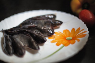 Tengra / Tyangra Mach : Buy online | freshtohome.com