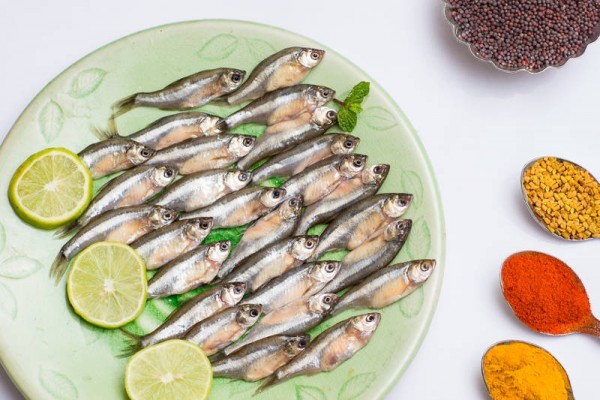FreshToHome - Buy Fresh Fish Online