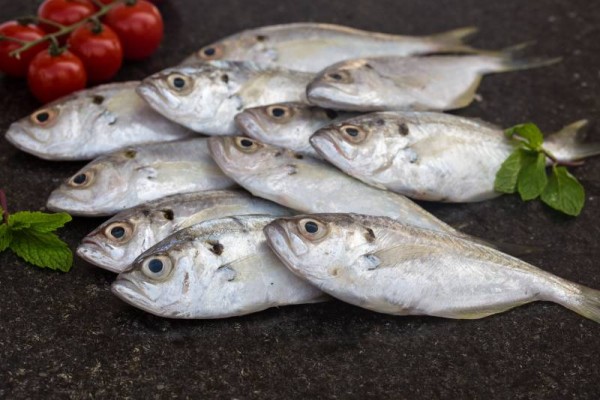 FreshToHome - Buy Fresh Fish Online