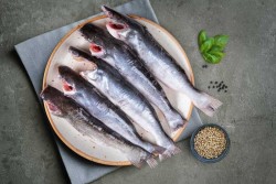 Grey Catfish / Kaayal Koori / Grey Magur : Buy online | freshtohome.com