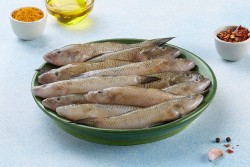 Goby / Poolan / Bele Mach : Buy online | freshtohome.com