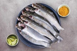 Grey Mullet / Thirutha / Bhangor / ಮಡಲೆ (Small) : Buy online ...
