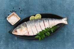 Hilsa / Ilish / Palla /Palva / Pulasa / Polasa : Buy online ...