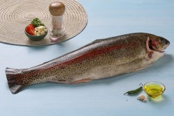 **Exclusive** Fresh Himalayan Trout : Buy online | freshtohome.com