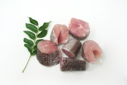 Kada Varaal / Lizard Fish : Buy online | freshtohome.com