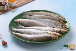 Lady Fish / Kane / Silver Whiting / ಕಾನೆ (Small) : Buy online ...