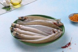 Lady Fish / Kane / Silver Whiting / ಕಾನೆ : Buy online | freshtohome.com