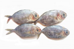 Neymeen Parava : Buy online | freshtohome.com