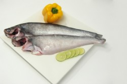 Pabda / Pabda Catfish / পাবদা : Buy online | freshtohome.com