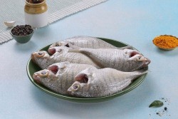 Long Rayed Silver Biddy / Pranjil : Buy online | freshtohome.com