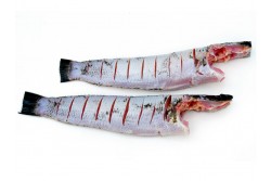 Snake Head Fish / Varaal / Bral / Kannan / Shol : Buy online ...