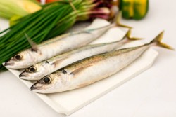 Indian Scad / Vatta Kanni / Thiriyan : Buy online | freshtohome.com