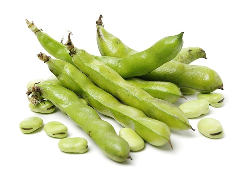 Beans Foul Green (ME) : Buy online | freshtohome.com