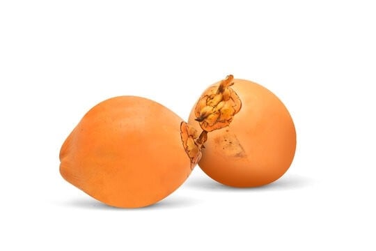 Coconut Tender (SL) - Pack of 6 Piece : Buy online | freshtohome.com