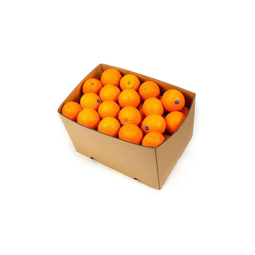 Orange Naval (ES) - 10kg Box : Buy online | freshtohome.com