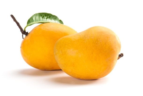 Mango Priyoor (IN) / المانجو بريور : Buy online | freshtohome.com