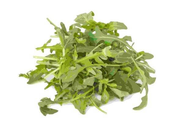 Baby Rocket (IT) - Pack of 125g : Buy online | freshtohome.com