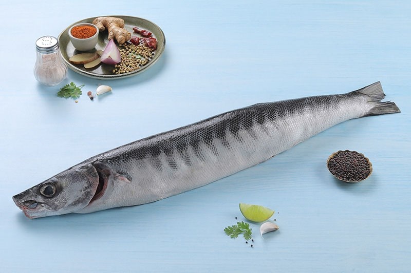 Barracuda / Al Gidd / Cheelavu (Small) - whole Cleaned : Buy online ...