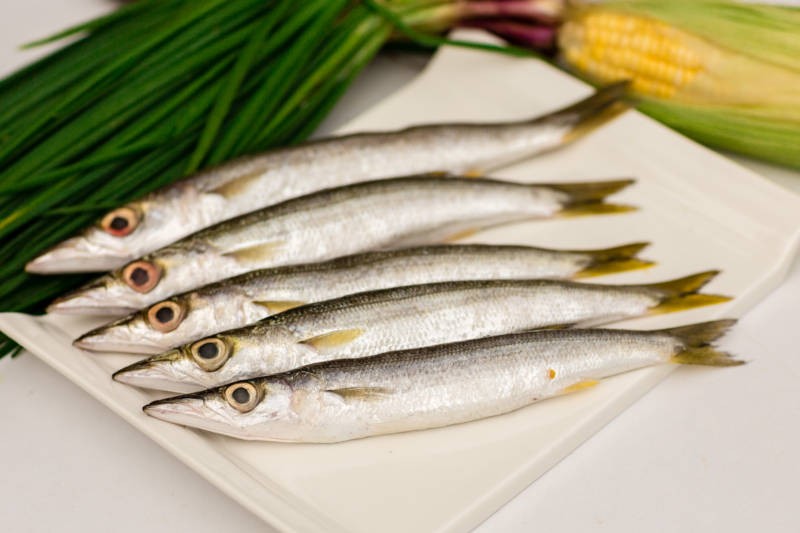 Barracuda / الجد / Cheelavu (Extra Small) : Buy online | freshtohome.com