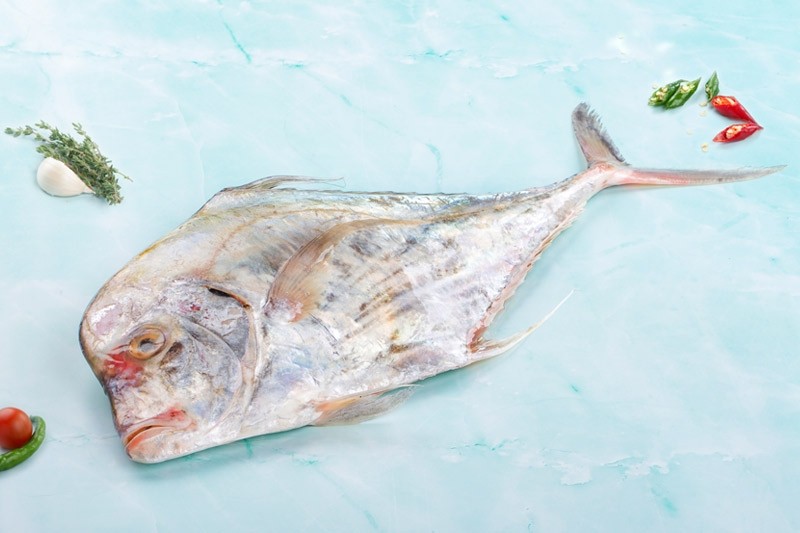 Silver Trevally / جش أبيض / Kannadi Vatta : Buy online | freshtohome.com