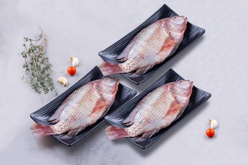 Bundle Pack: (Tilapia / Jalebi Fish - Whole 5kg) : Buy online ...