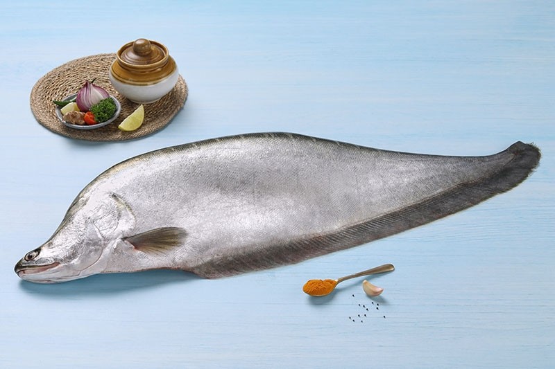 Chitol / চিতল/ চেতল / Chitala / Knifefish - Whole : Buy online ...