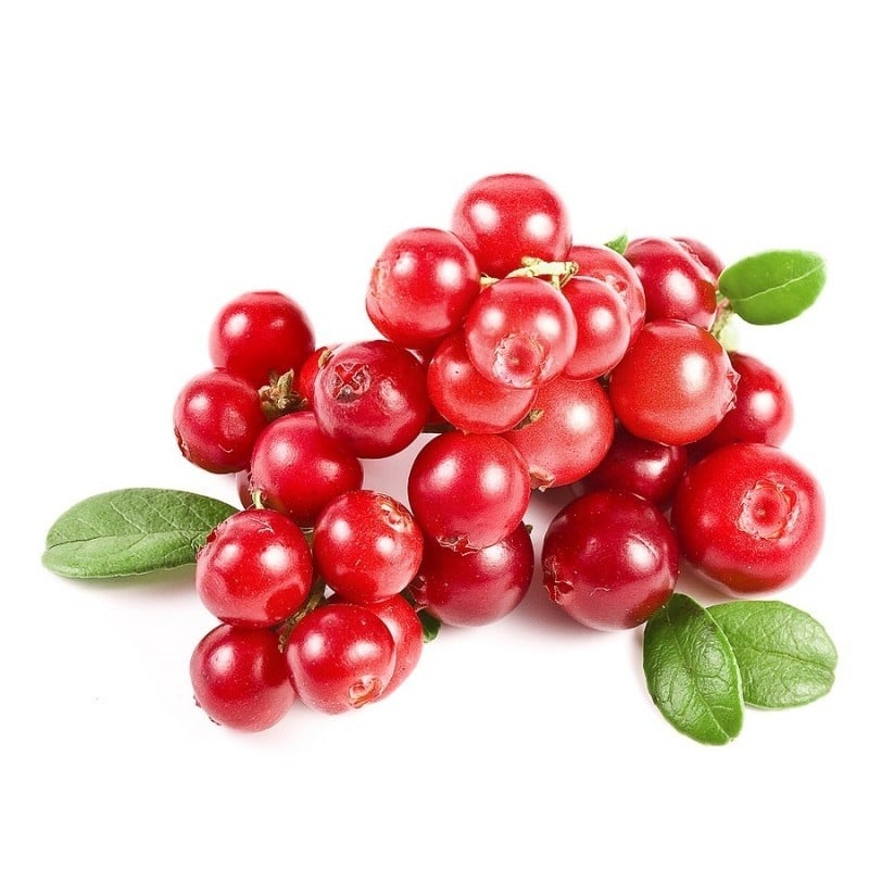 Berries - Cranberry USA - (Pack of 300g) : Buy online | freshtohome.com
