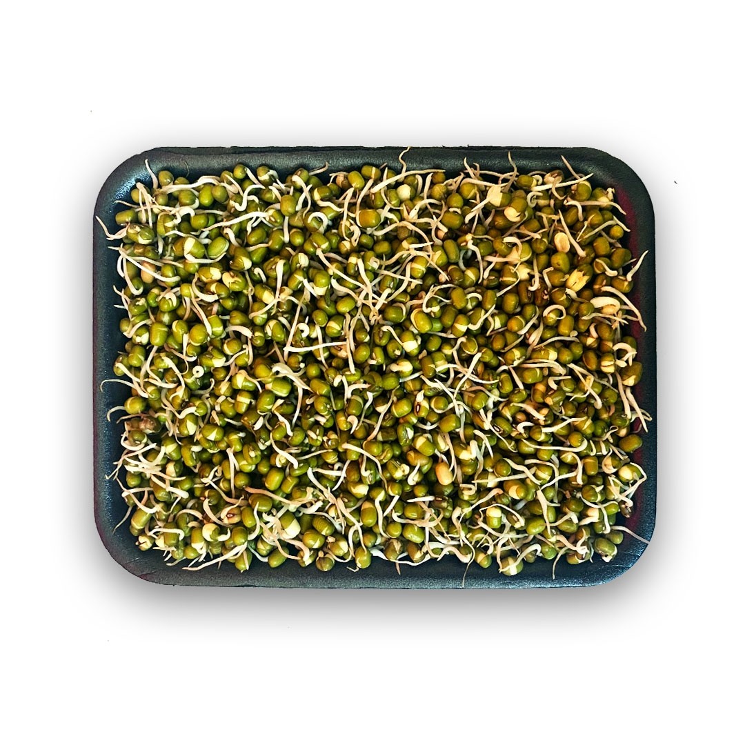 Sprout Moong (AE) -Pack of 250g : Buy online | freshtohome.com