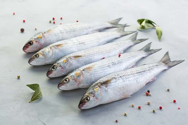 Kerala Grey Mullet / Thirutha / Bhangor / ভাঙ্গর - Steaks : Buy online ...