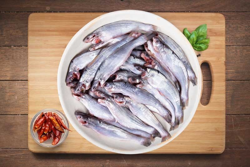 Tengra / Tyangra Mach : Buy online | freshtohome.com