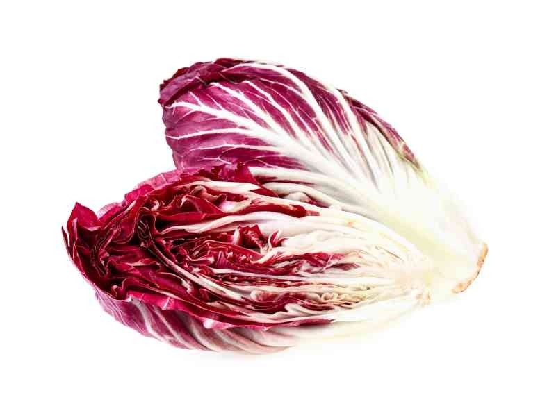 Lettuce Radicchio - 1 Unit (NL) : Buy online | freshtohome.com