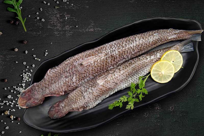 Lizard Fish / Macarona / Kada Varaal - Whole Cleaned : Buy online ...