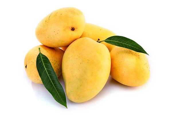 Mango Yamani (YE) / مانجو يمني : Buy online | freshtohome.com
