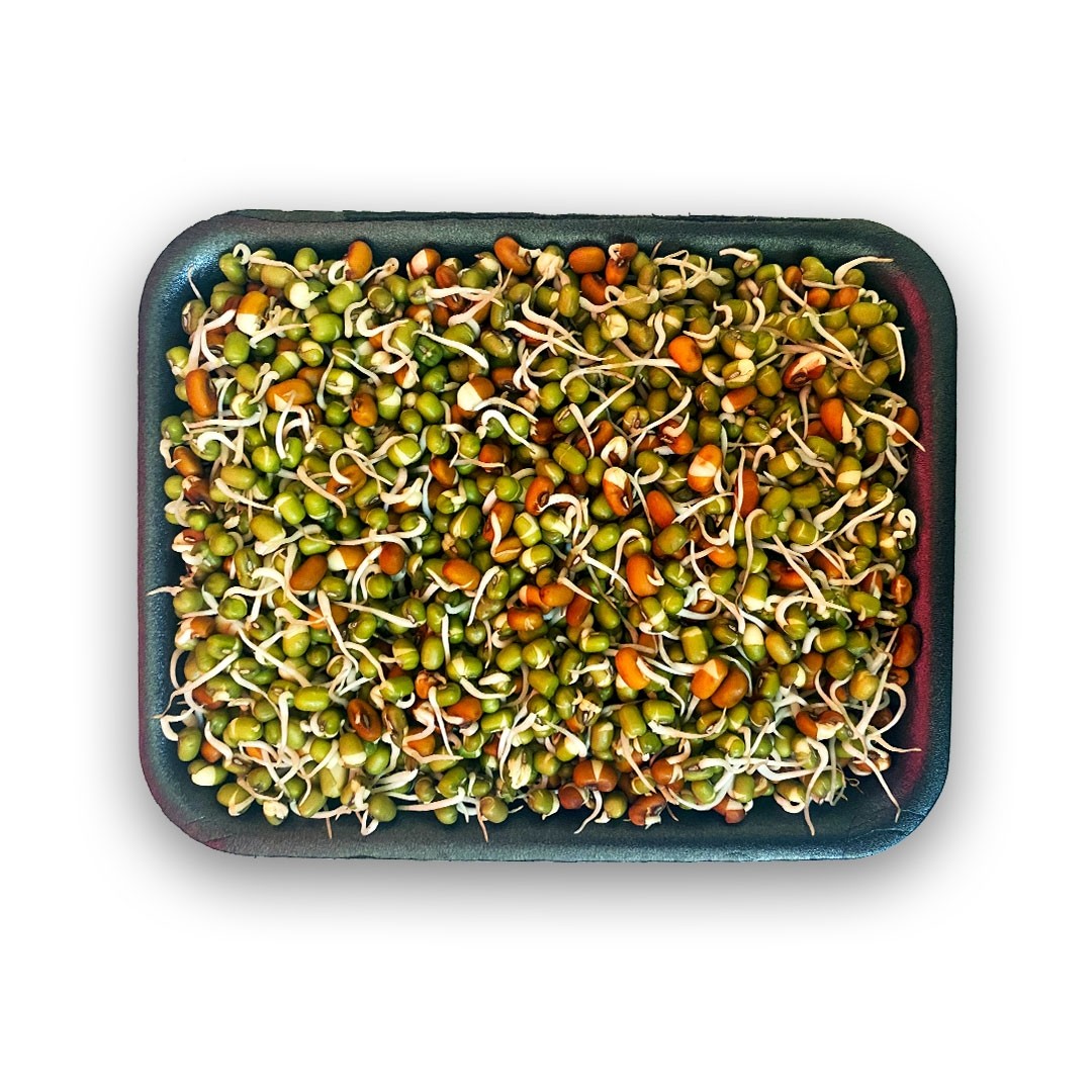 Sprout Mixed (AE) -Pack of 250g : Buy online | freshtohome.com